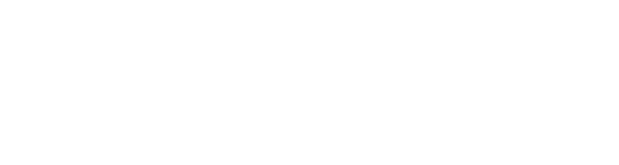 Ekinops360 Ideal Peakflow